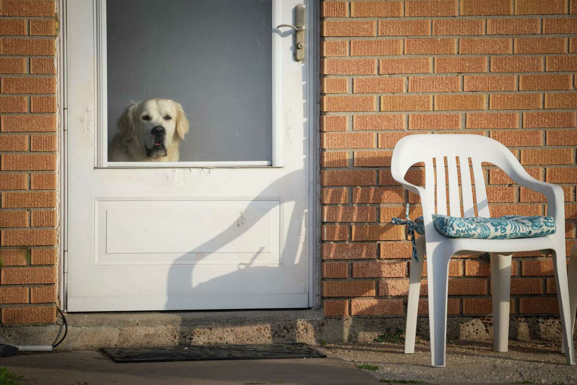 Starbase zoning puts YouTuber’s SpaceX livestream at risk