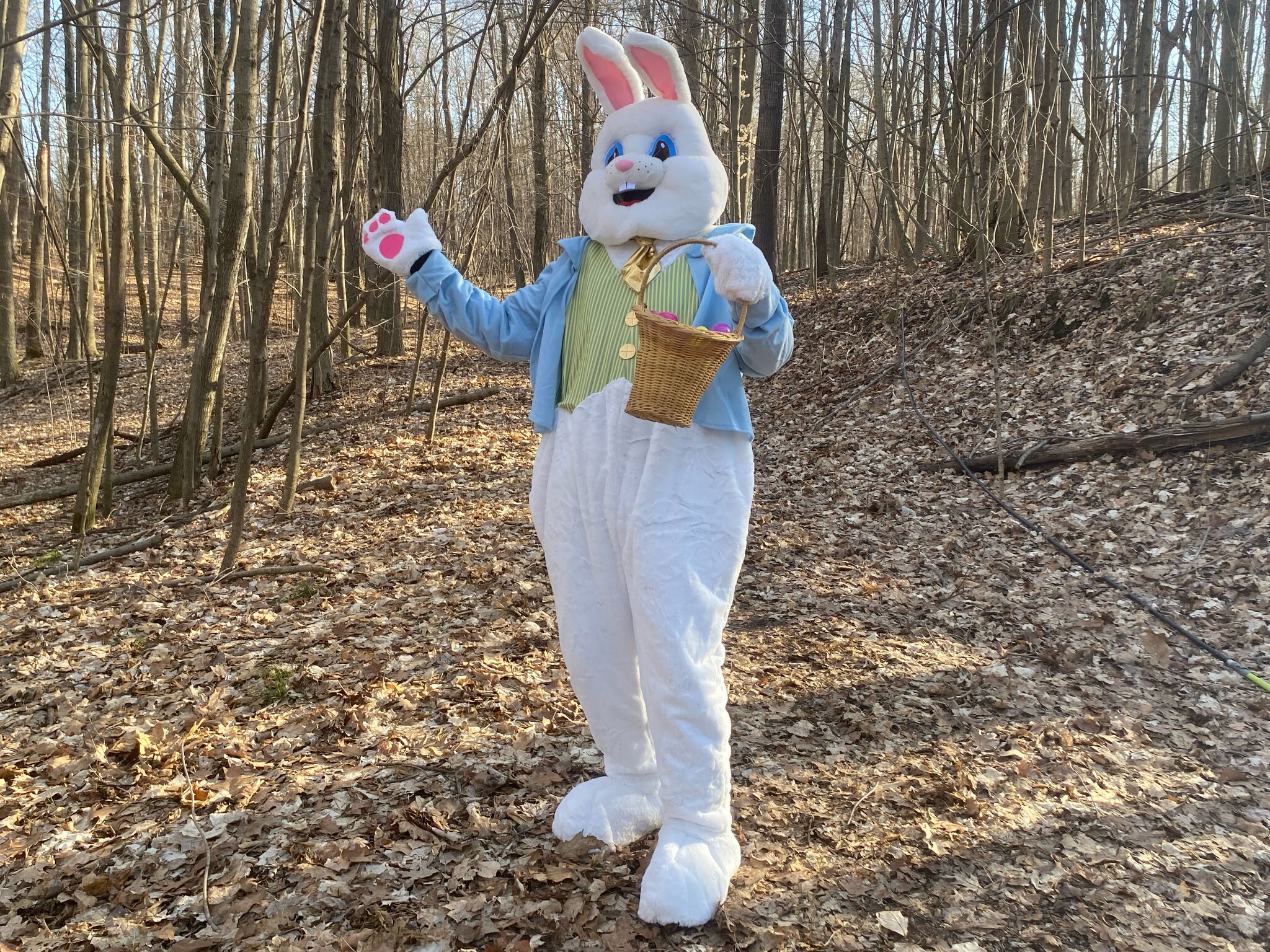 EDRA of Michigan plans Easter Party on Palm Sunday