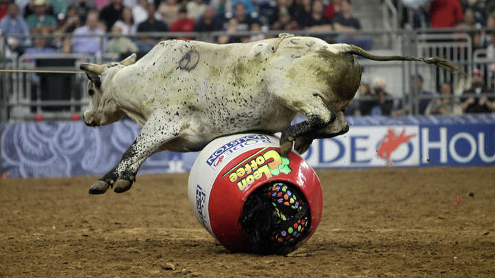 Houston rodeo's most famous clown to retire after 50 years