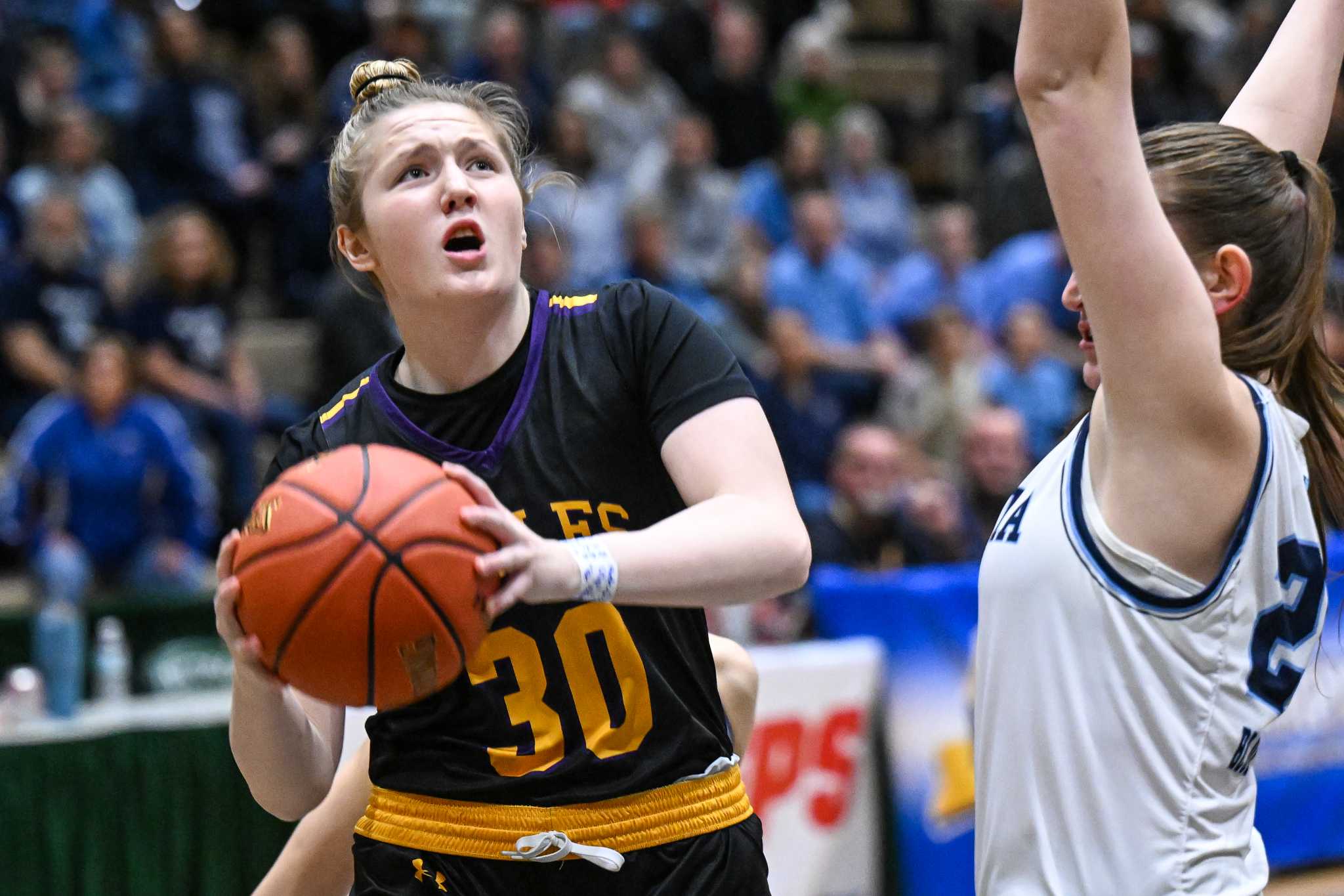 Allison O'Hanlon leaves Duanesburg girls' basketball with records, mem