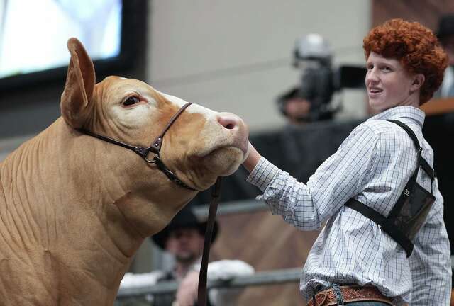 Woozy the Grand champion steer ties $1 million record at rodeo auction
