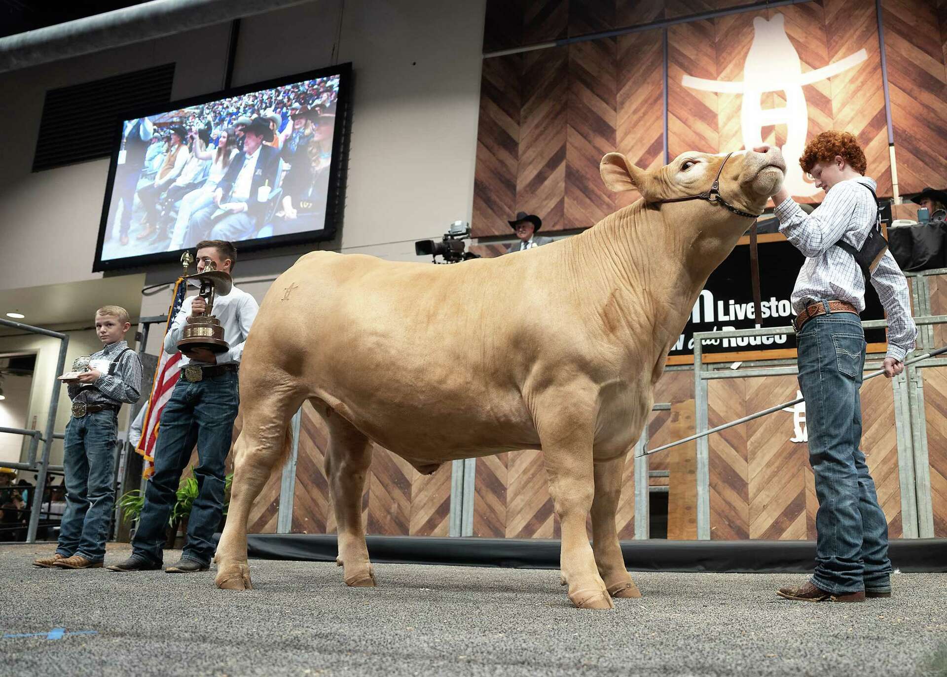 Woozy the Grand champion steer ties $1 million record at rodeo auction
