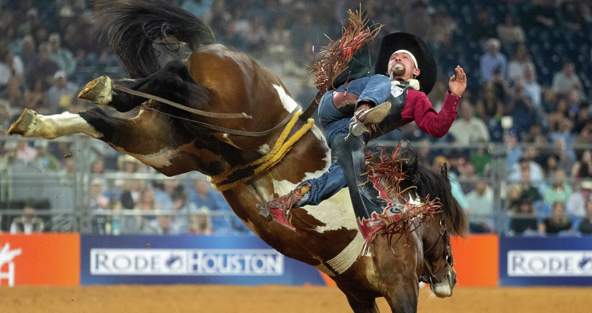 RodeoHouston: Garrett Shadbolt wins bareback in Wild Card 2