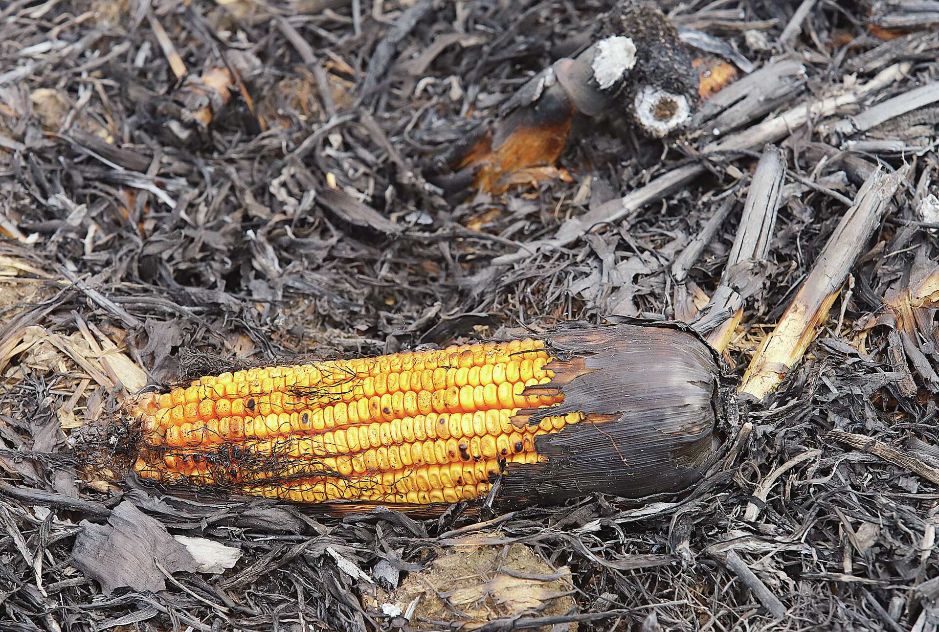 Corn stubble fire burns twice in Alton