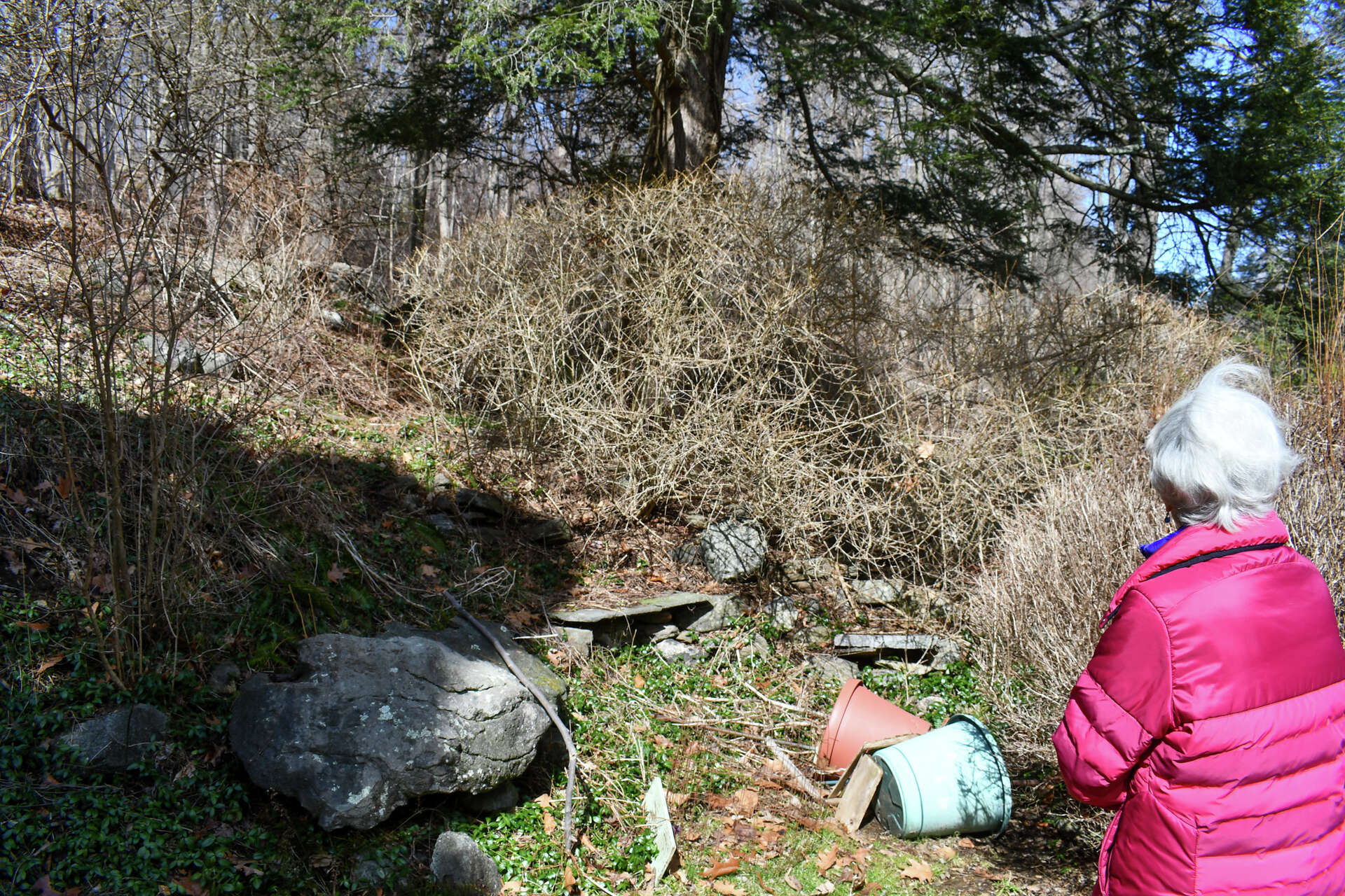 The true story behind the CT man thought to have been a 'fairy'