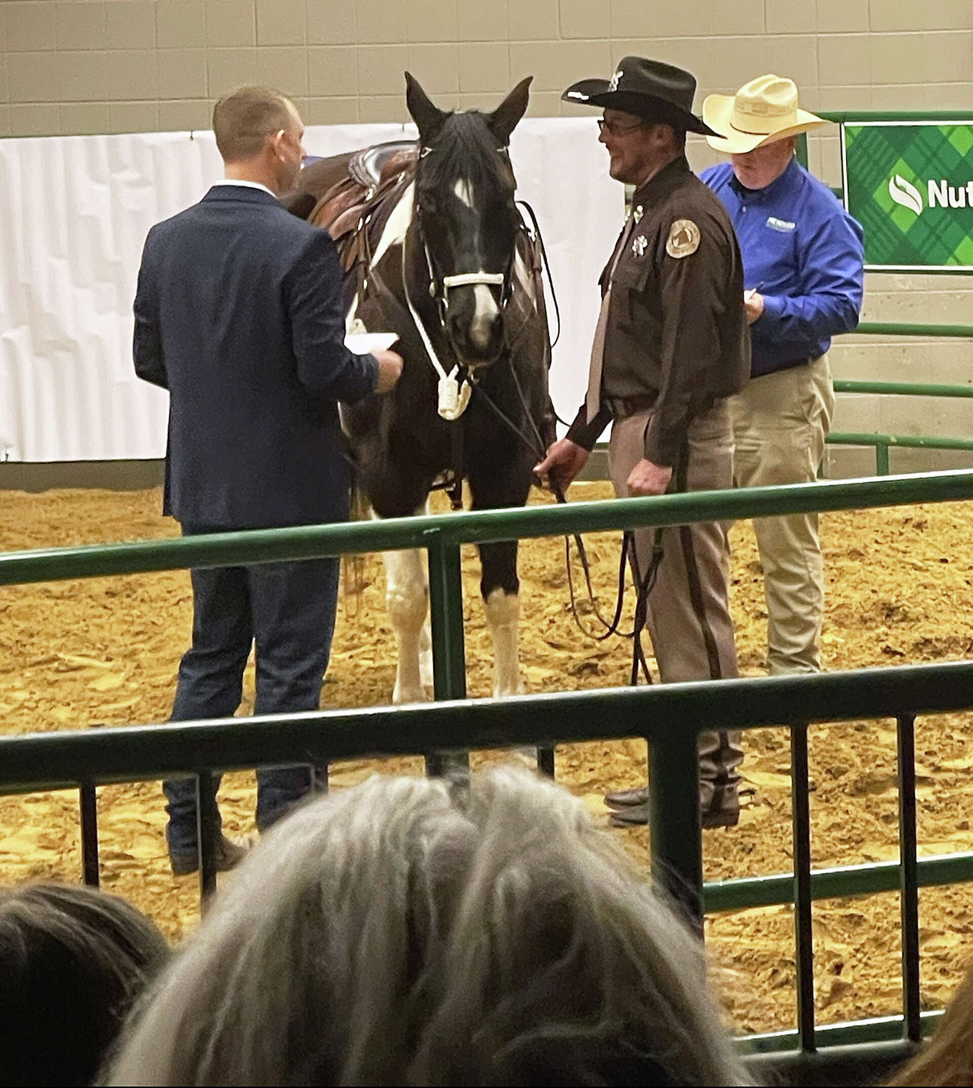Sanilac County Posse shines at Michigan Horse Expo