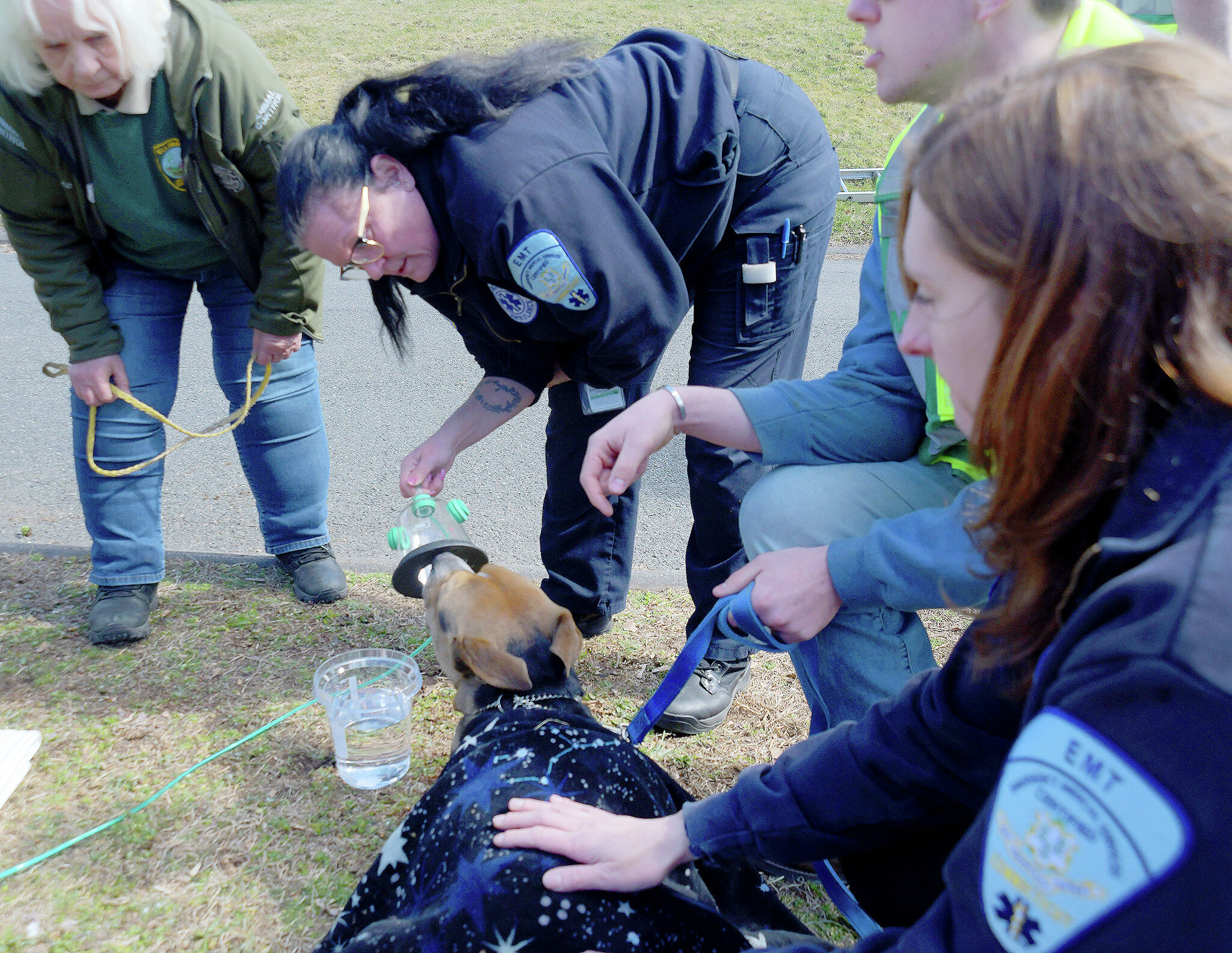 Firefighters rescue animals from Ellington house fire, officials say