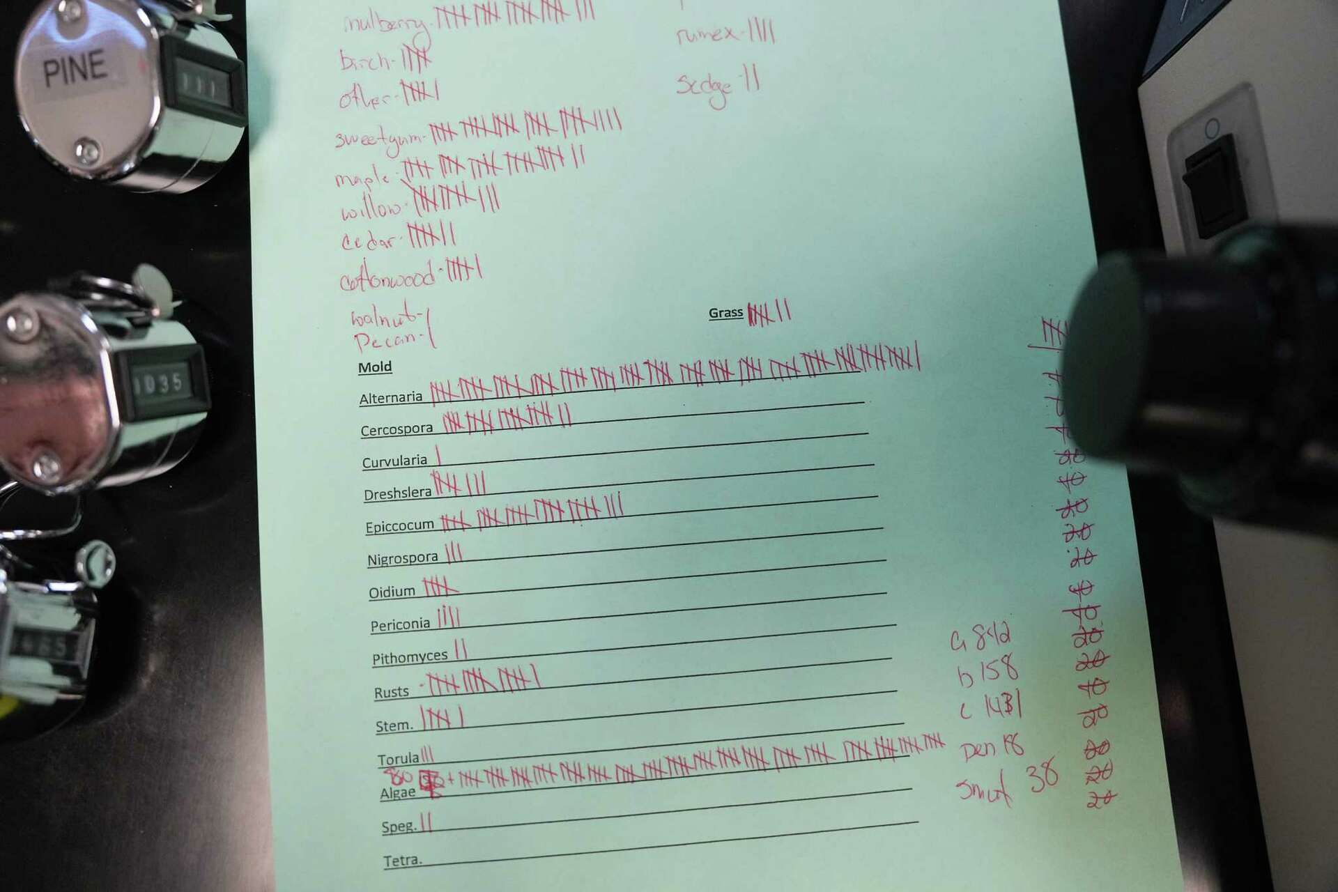 Houston pollen count: How it's measured, what it means