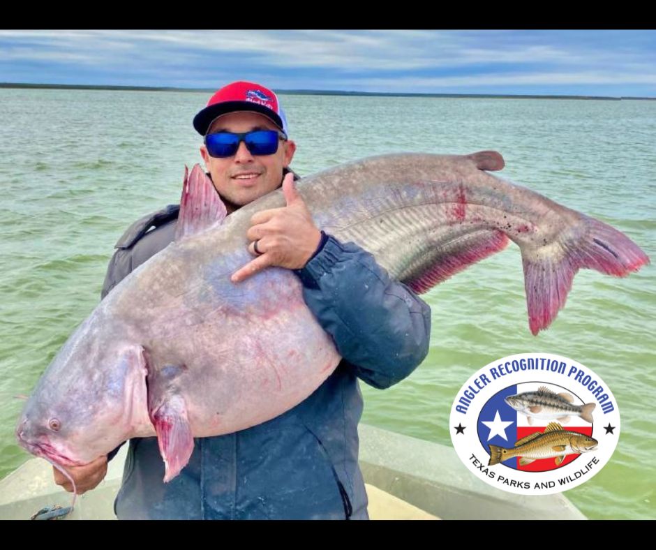 Falcon Lake record catfish: 62 pounds, 45.5 inches