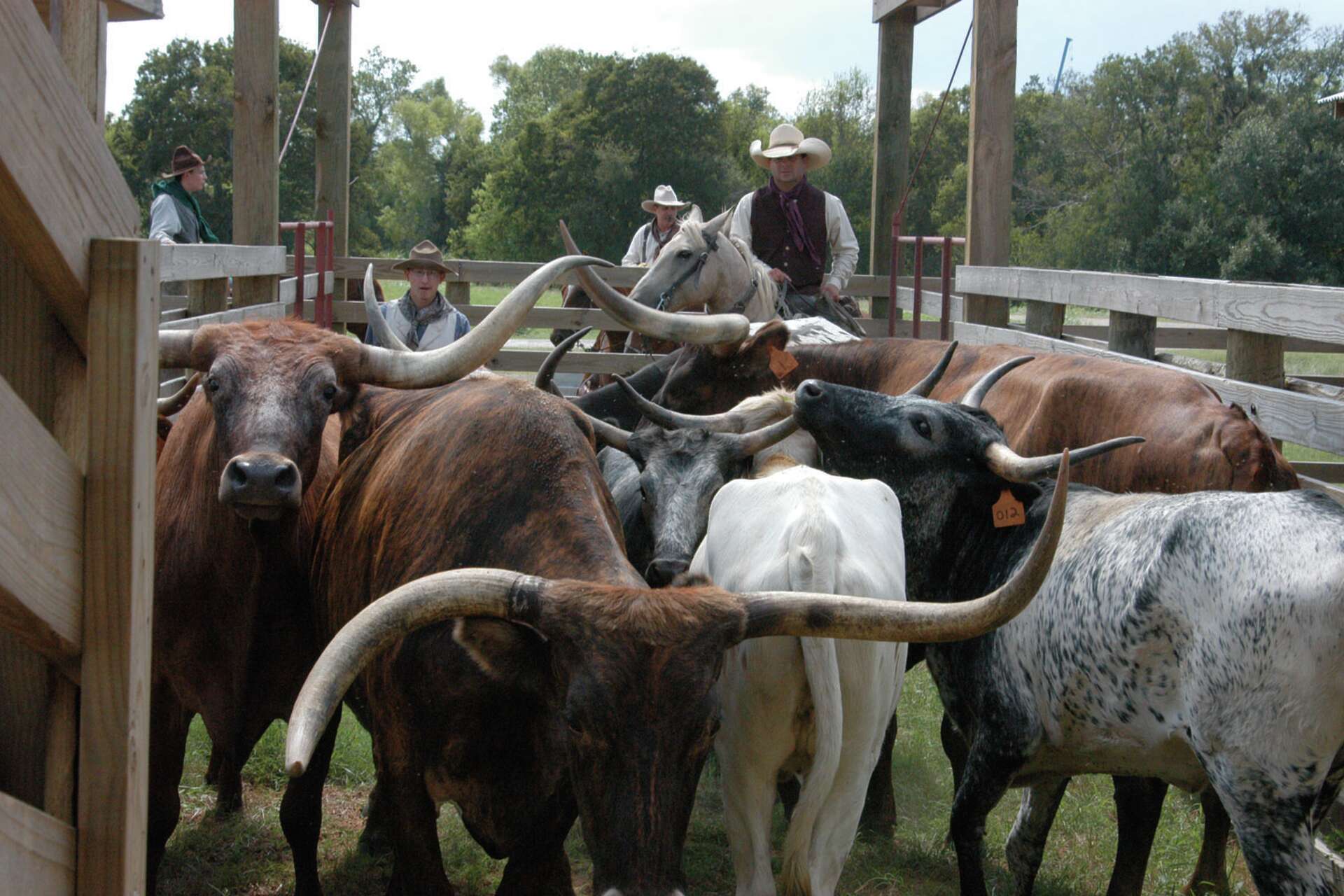 Houston's George Ranch sells off 1,500 acres of land