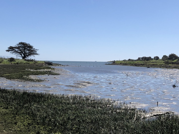 This forgotten part of San Francisco is still a long way from its best