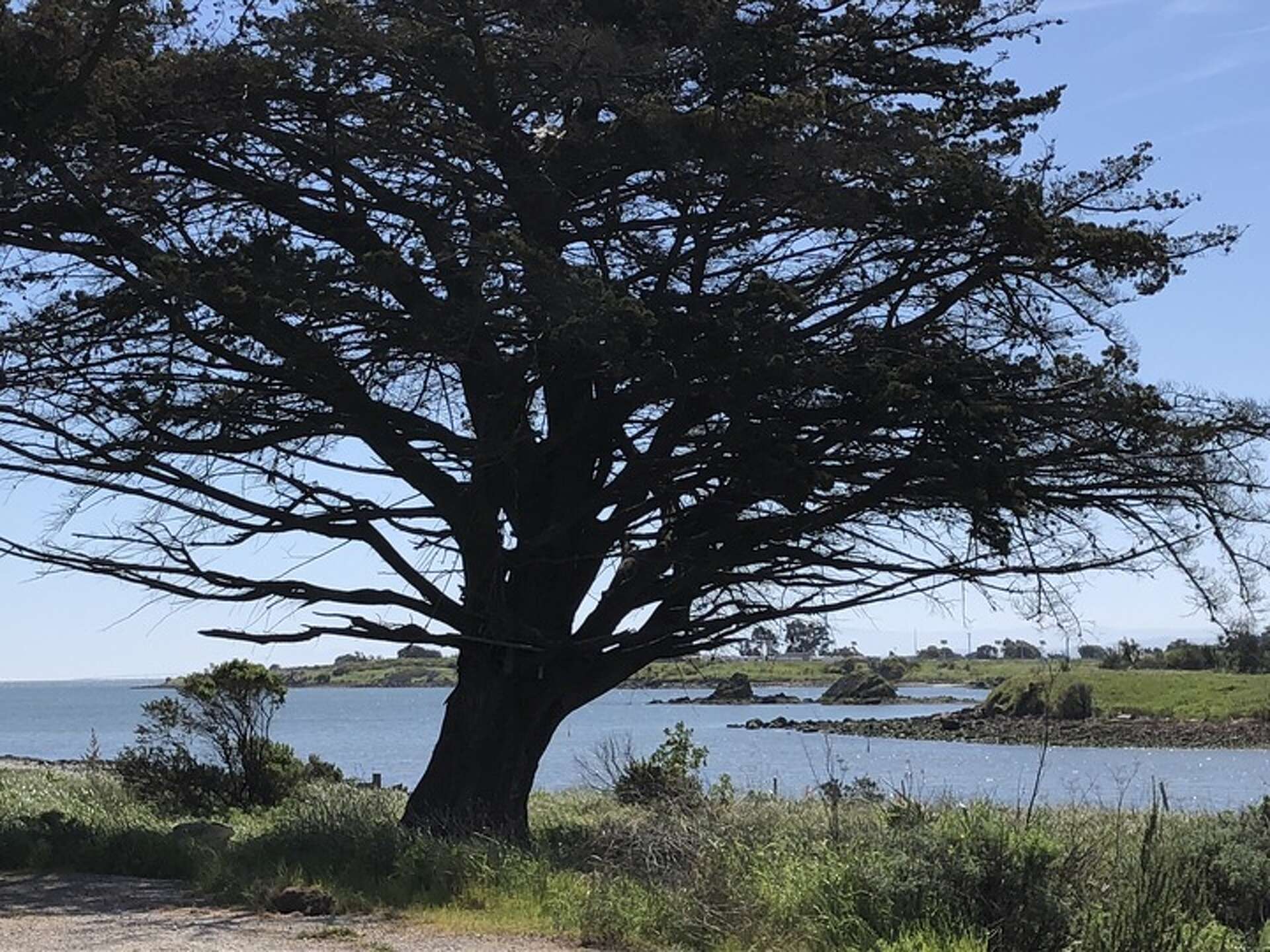 This forgotten part of San Francisco is still a long way from its best