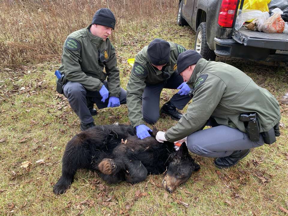 Michigan DNR hiring conservation officers for 2025 training academy