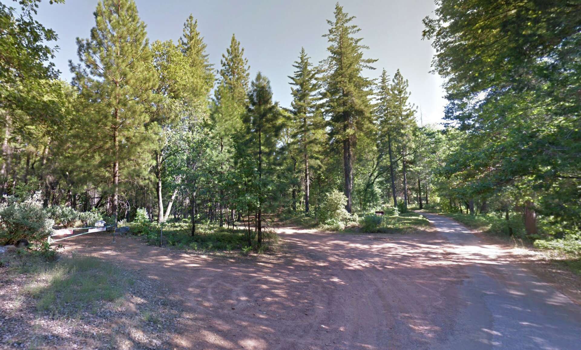 Mountain lion kills man in Northern Calif. for first time in 30 years