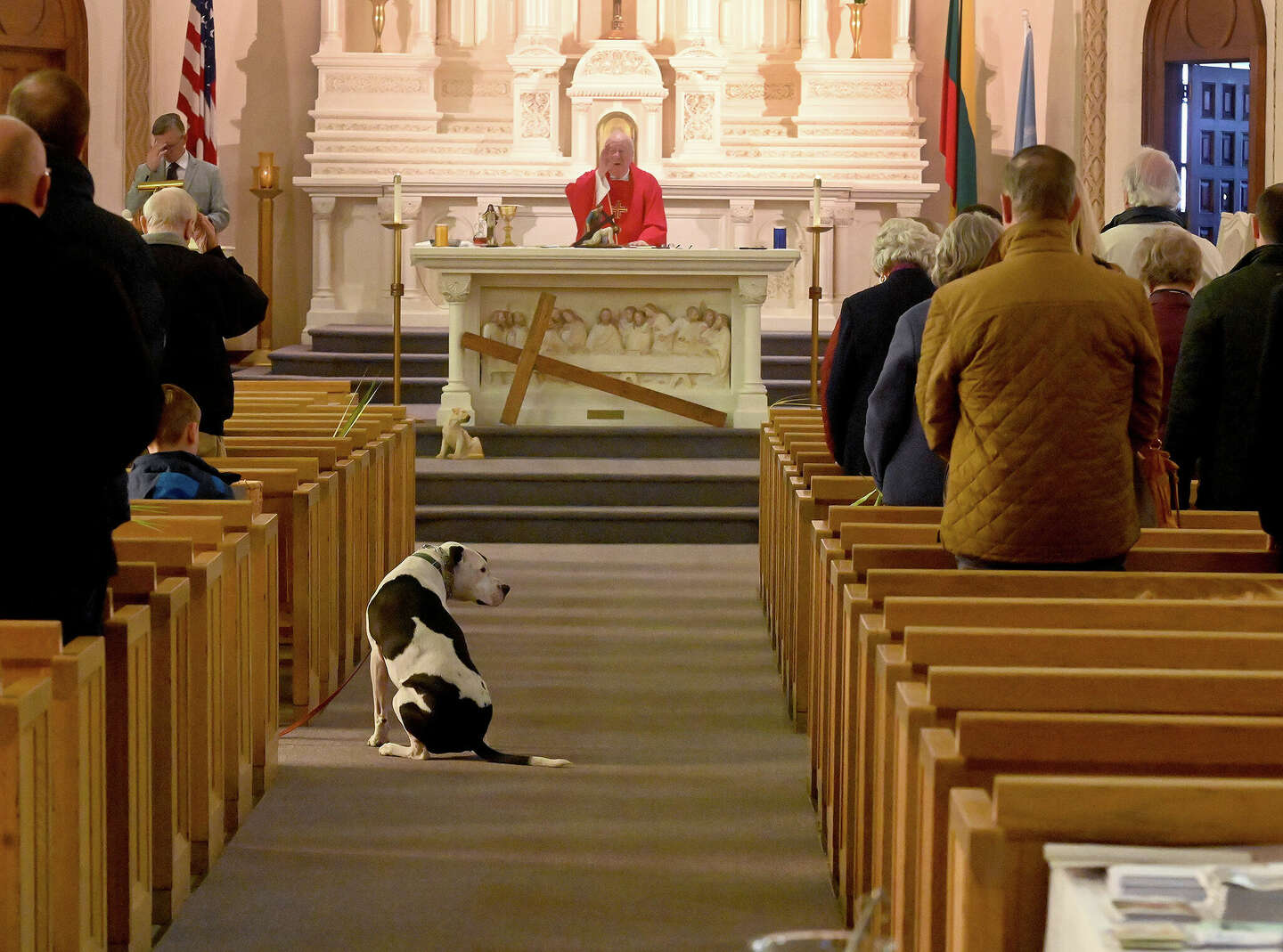 Hartford’s Holy Trinity Church is letting pets in the pews