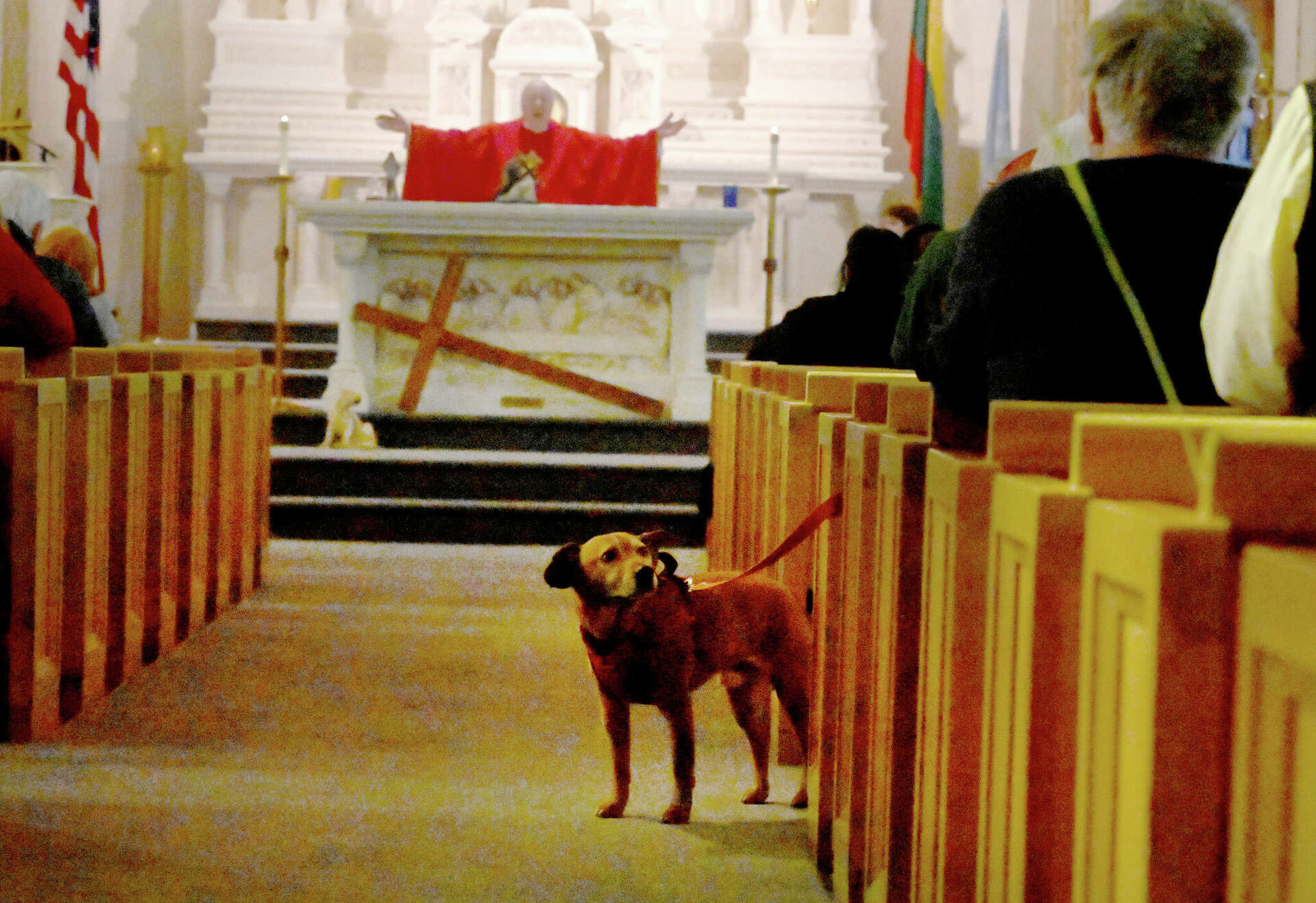 Hartford’s Holy Trinity Church is letting pets in the pews