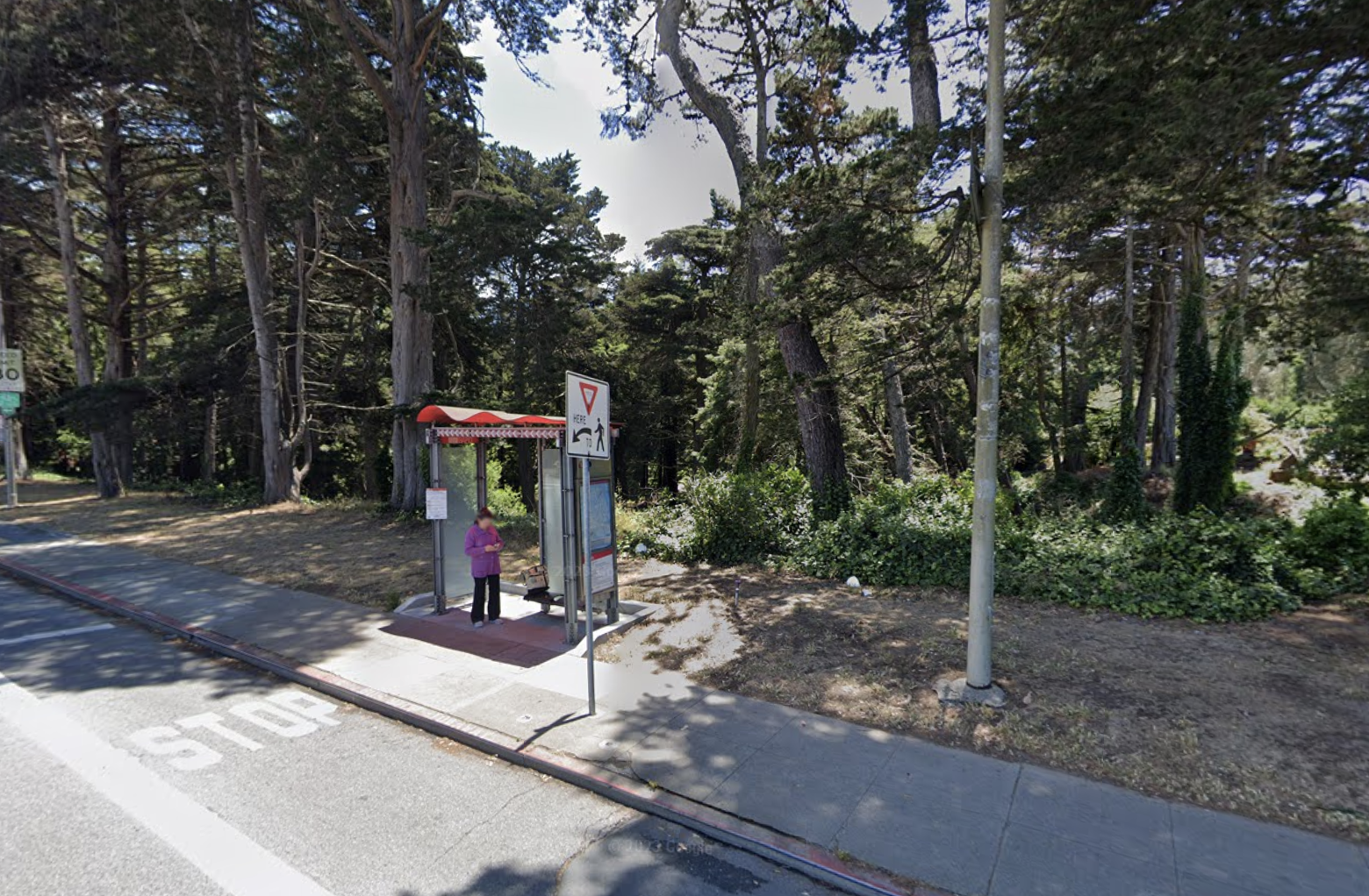 SF man hospitalized after getting hit by car near Golden Gate Park