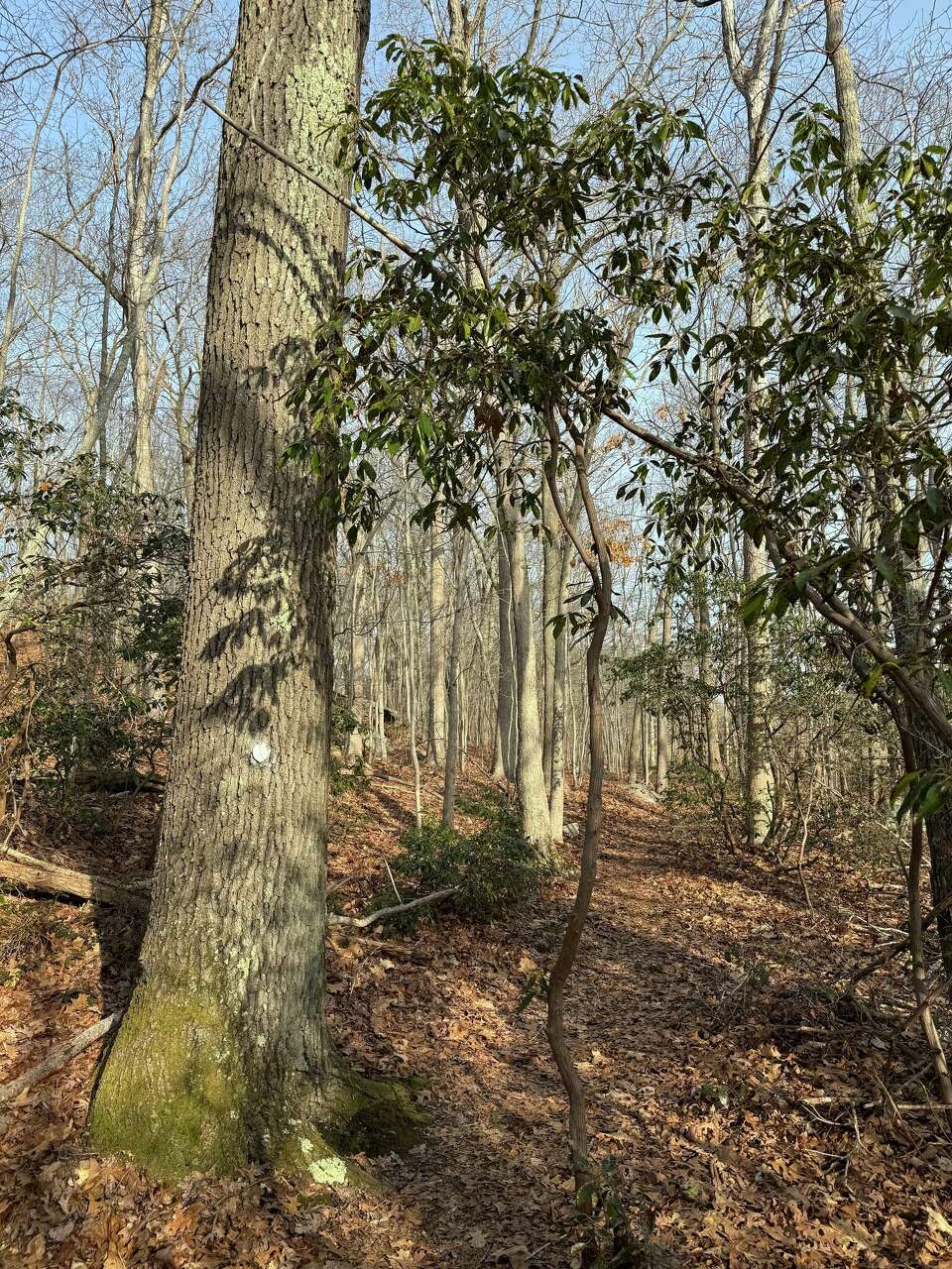 Hiking Connecticut's Trolley Trail offers views of the Thimble Islands
