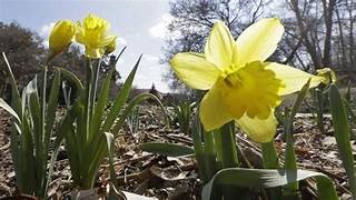 Garderers find April is busy month preparing for spring and summer