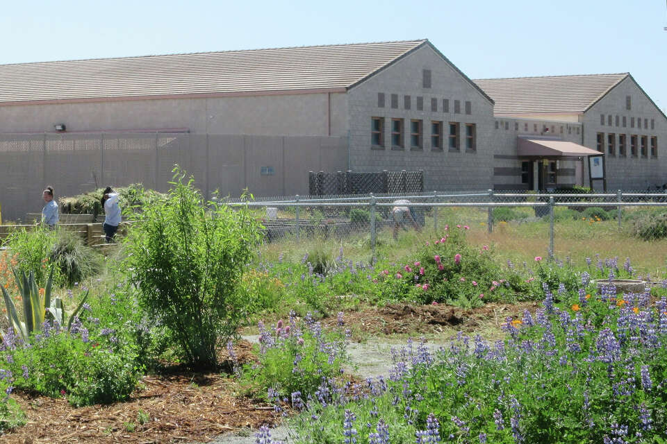 The unlikely gardeners of Alcatraz island