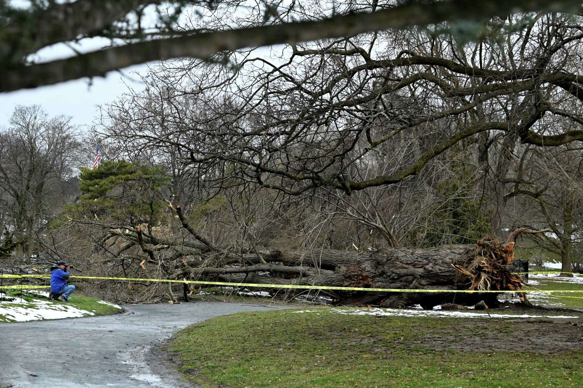 Storm knocks down last original Linden tree in Washington Park