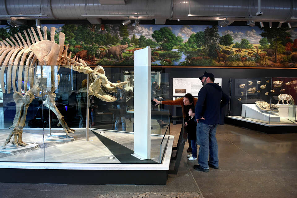 Five must-see exhibits at New Haven's renovated Yale Peabody Museum