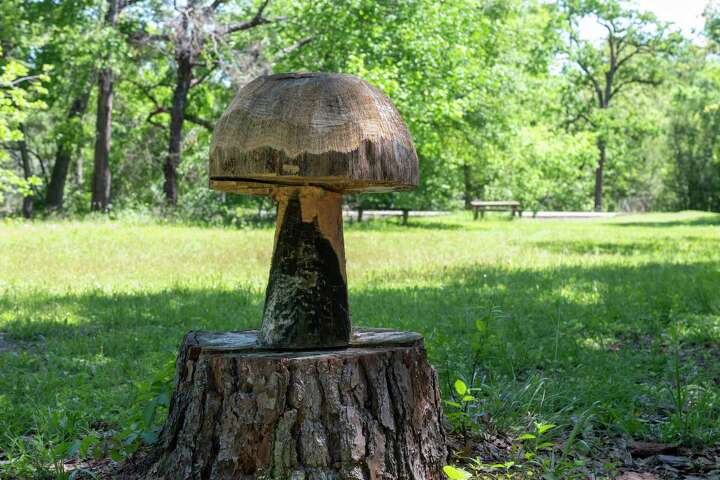 Memorial Park staffer creates wood carvings out of trees