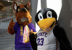 UAlbany's Damien competes in Final Four of SUNY's Mascot Madness