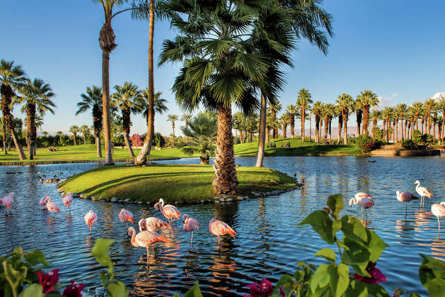 How a mega lake with flamingos landed in the Calif. desert