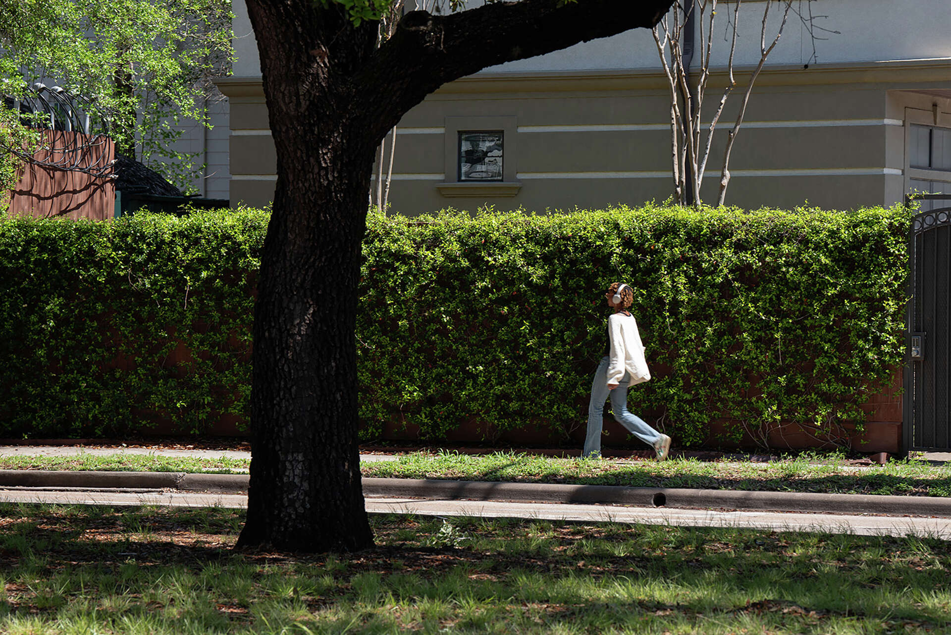 Whitmire plan to overhaul Montrose Blvd project hits roadblock