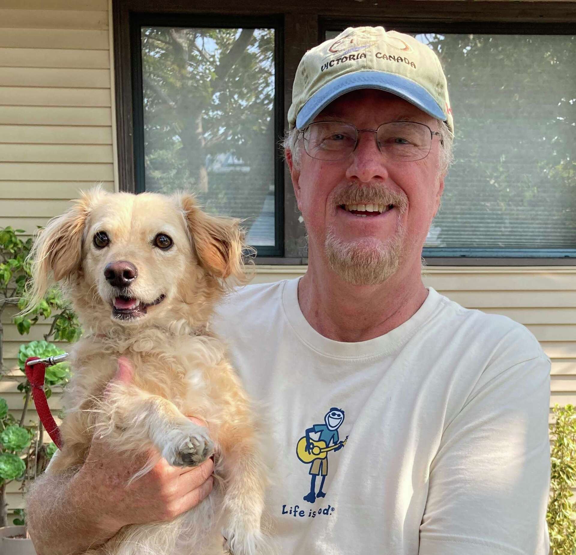 Dog attacks are soaring in California. I just became a statistic