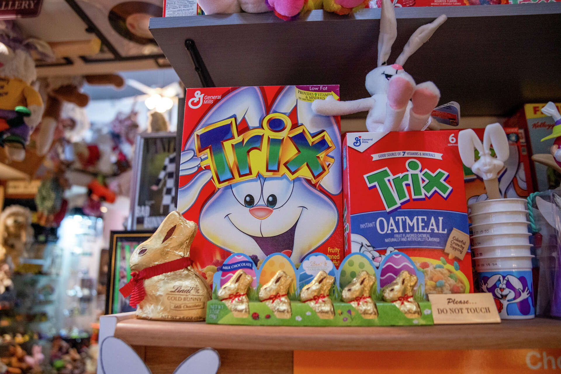 The Bunny Museum is one of the weirdest, wildest places in California
