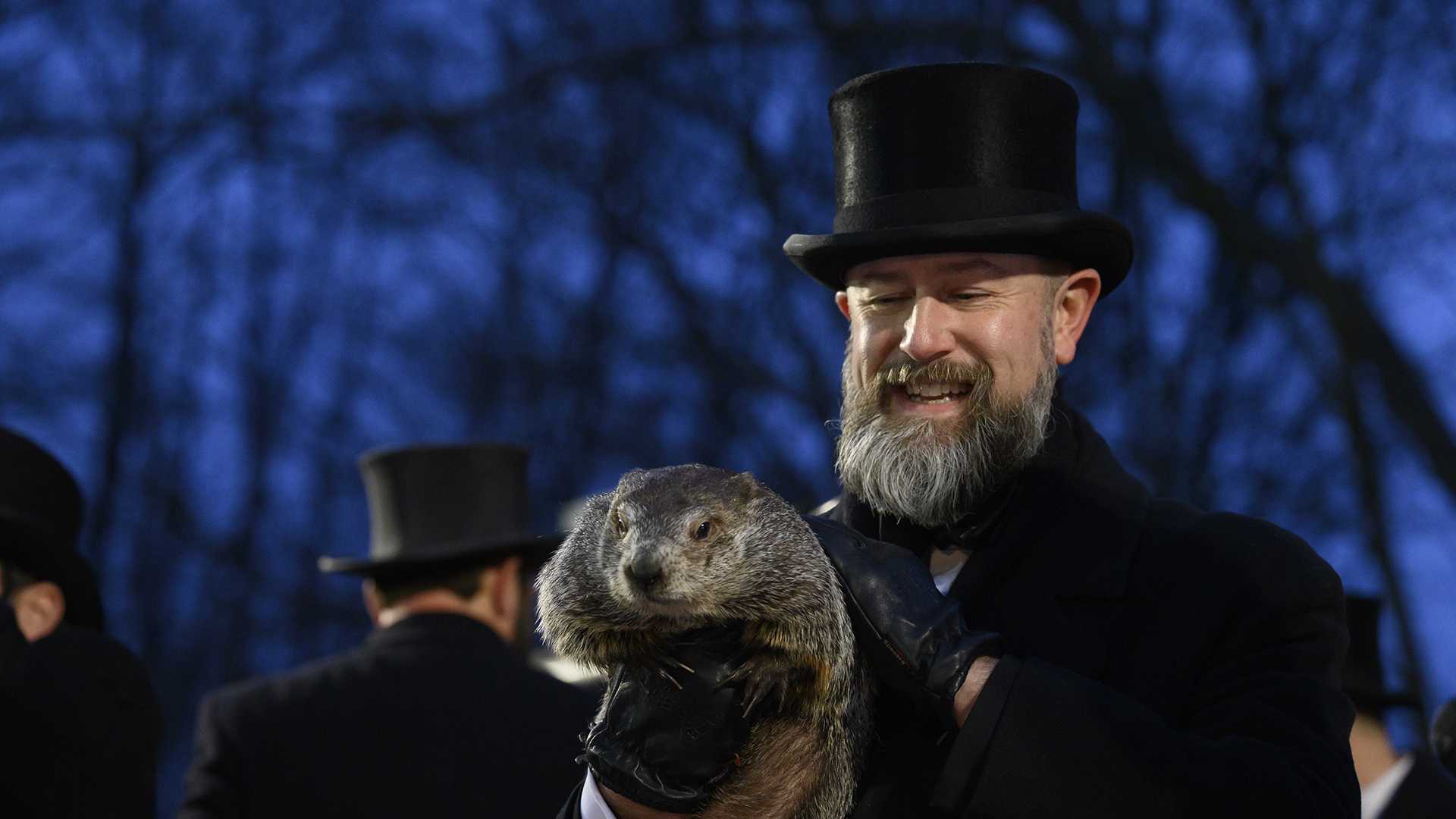 Punxsutawney Phil, famed groundhog, welcomes two new babies