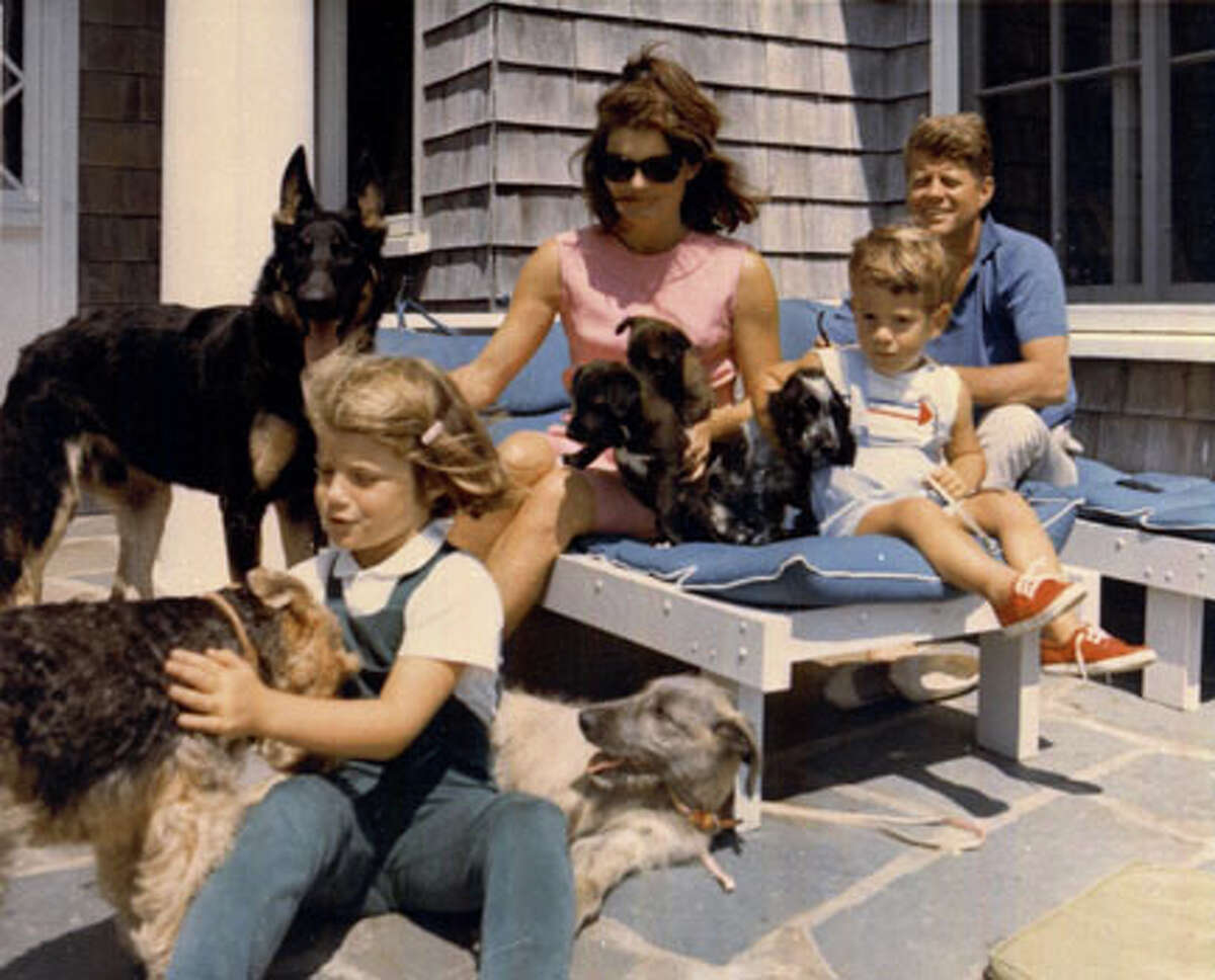 First Pets, the furry friends of U.S. Presidents
