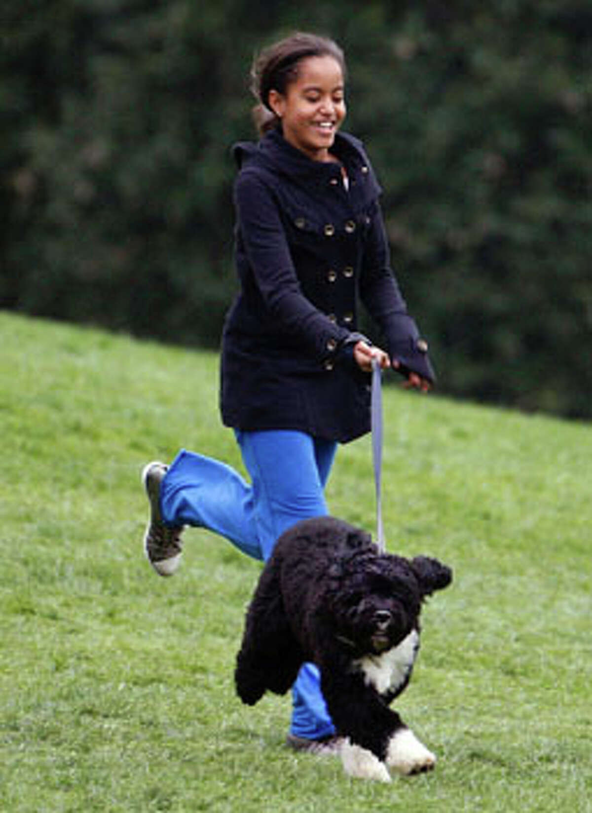 First Pets, the furry friends of U.S. Presidents