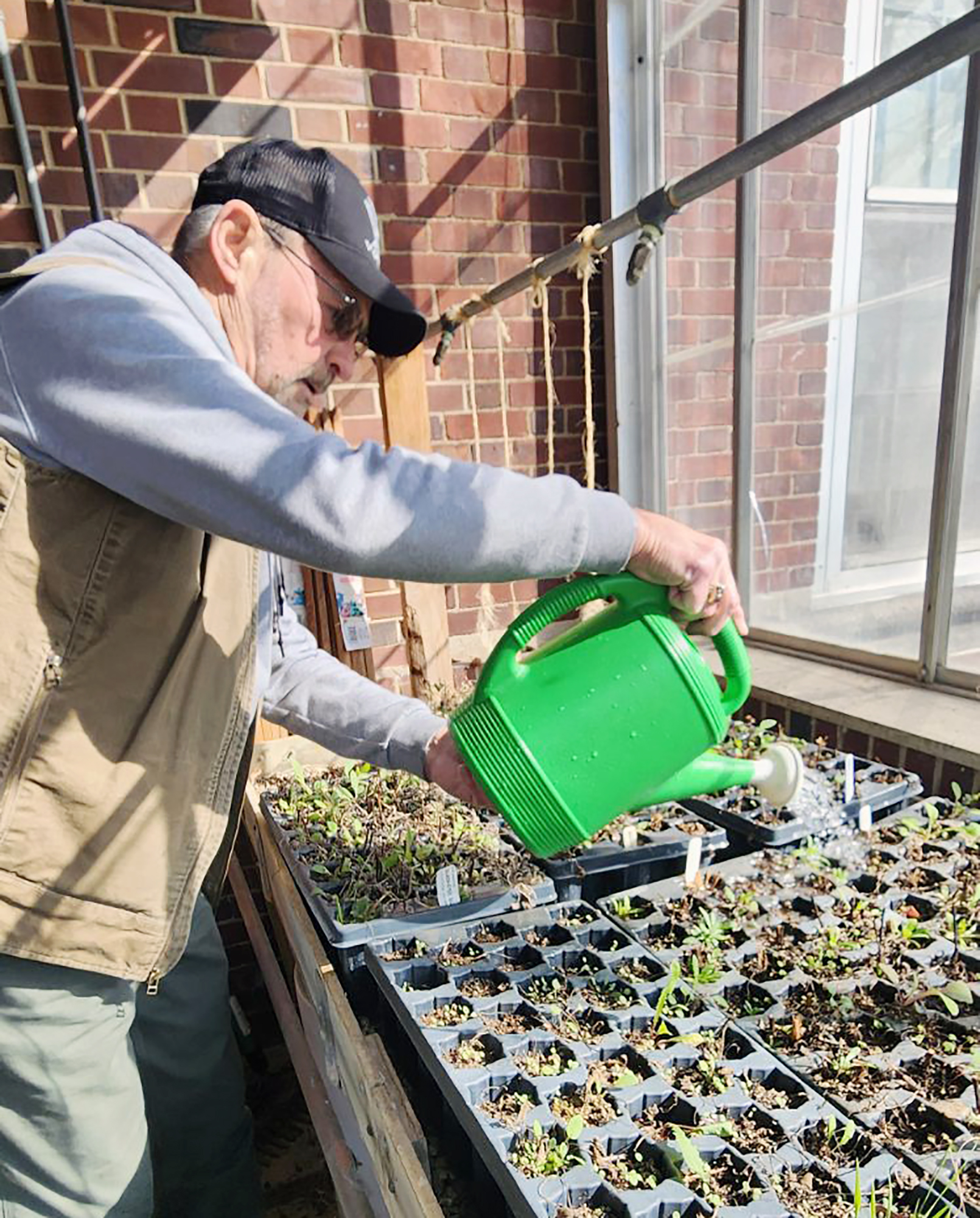 Morgan County plants sale encouraging native gardens