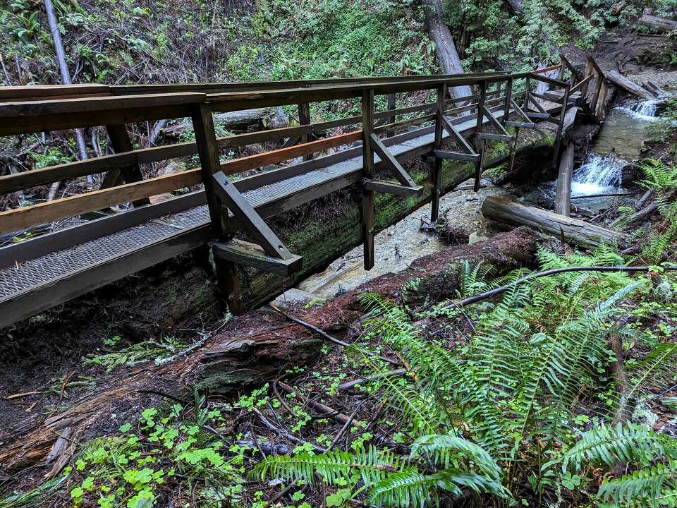 Hike this 'hidden gem' if you want Muir Woods without the crowds