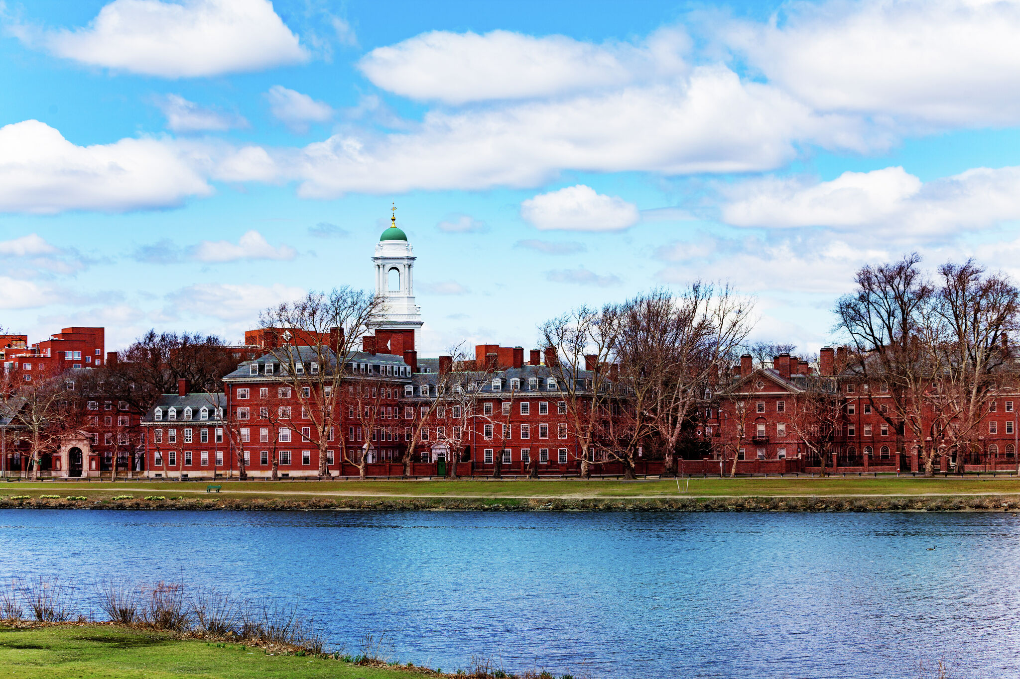 Harvard addresses human skin book controversy