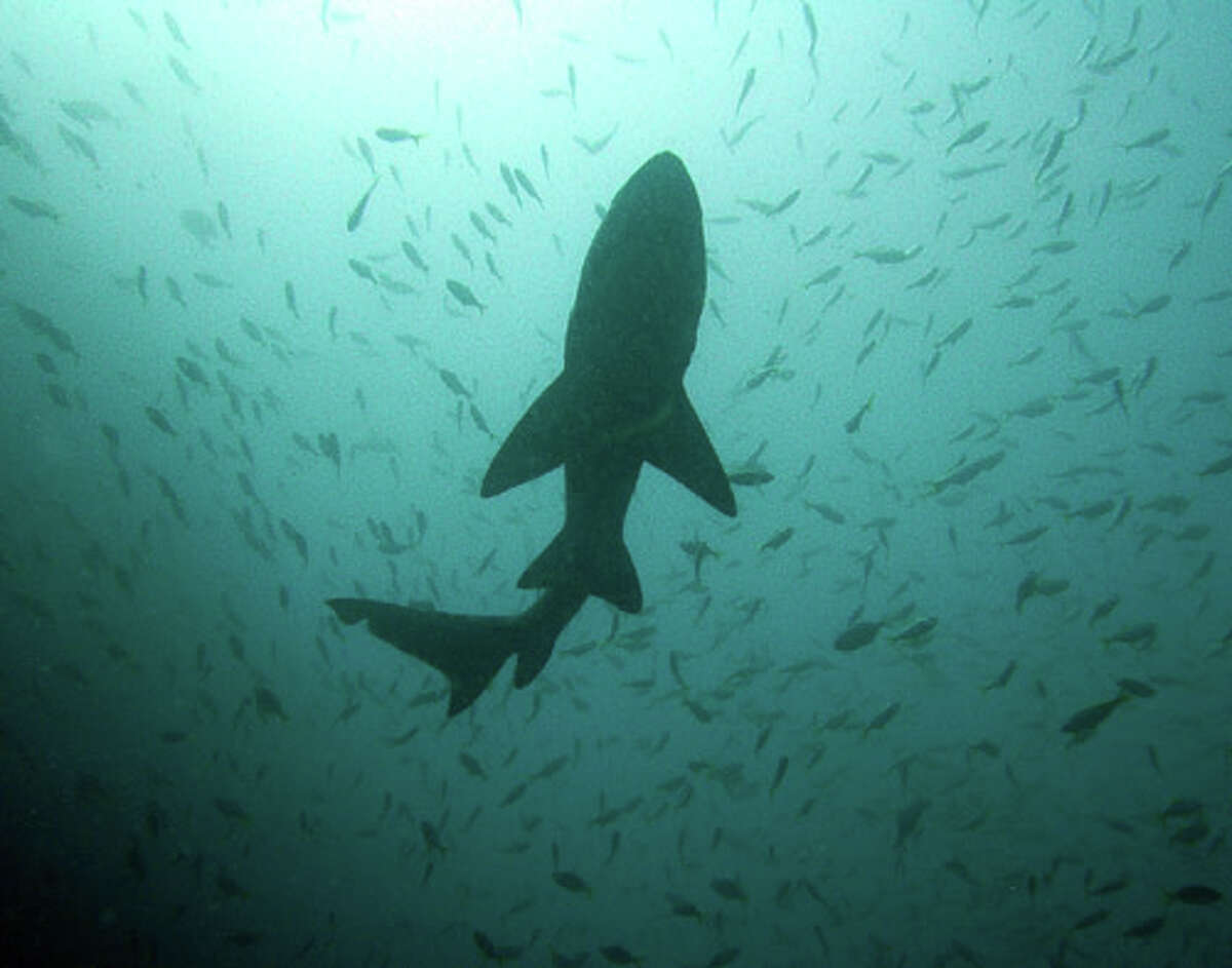 You name it, there's a phobia for it