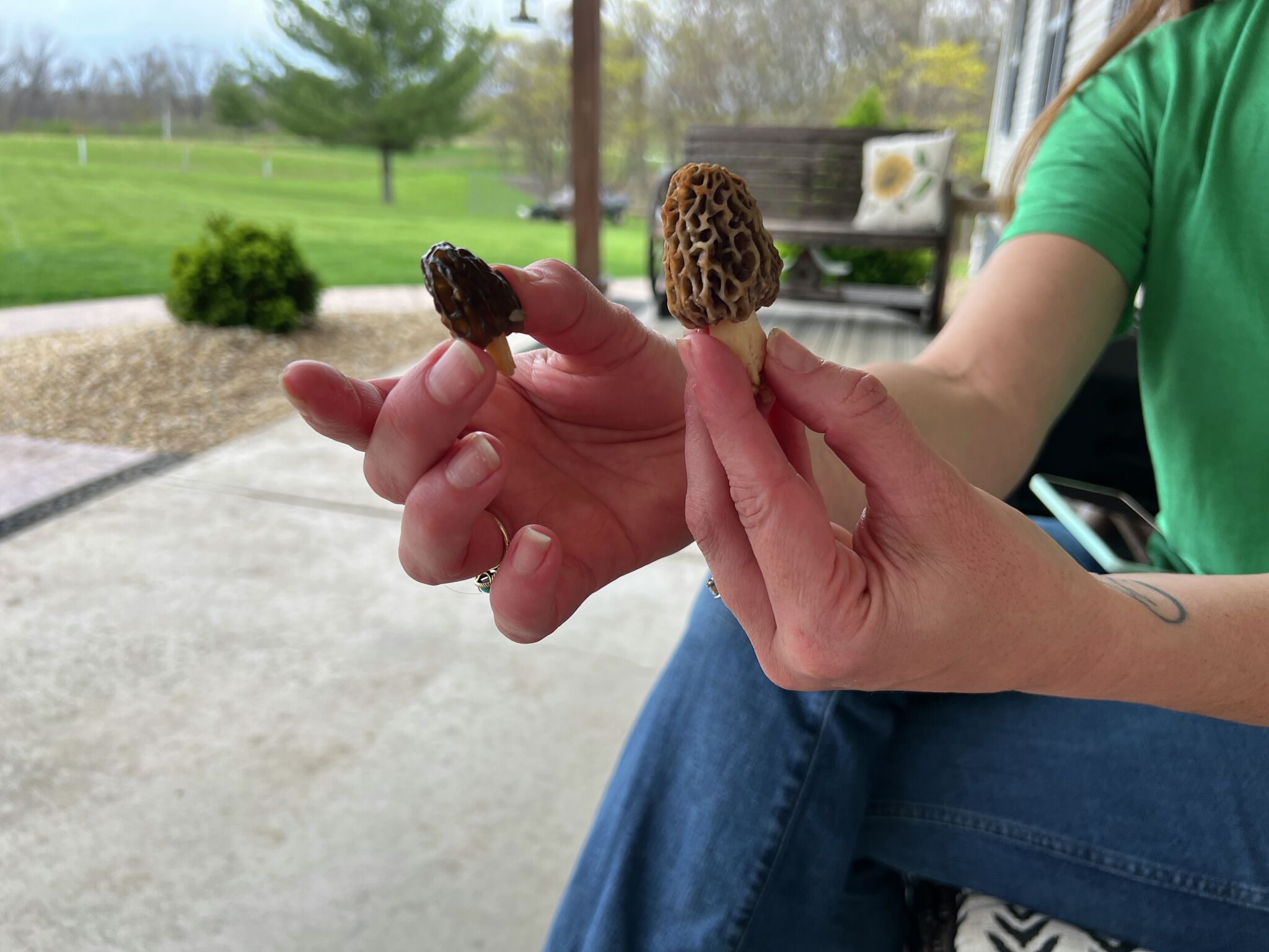 Grafton's Hardwick family finds togetherness finding scattered morels