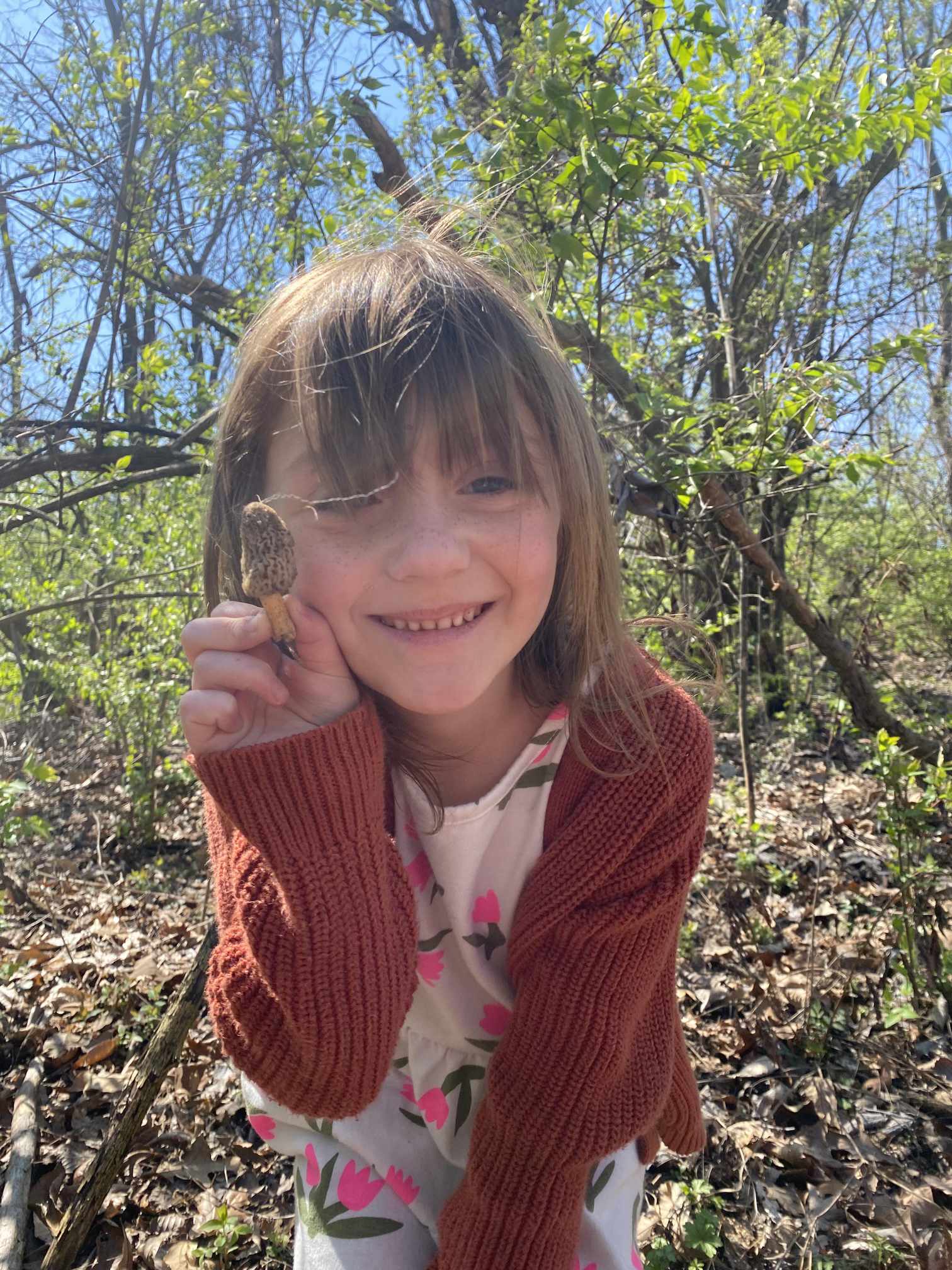 It's morel mushrooms hunting time in Illinois