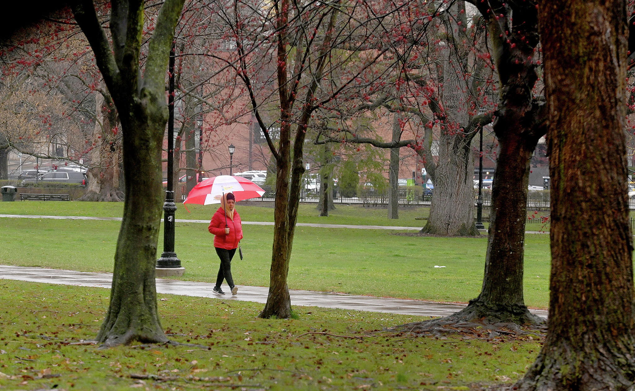 Here's how much rain fell on Connecticut during Thursday night's storm