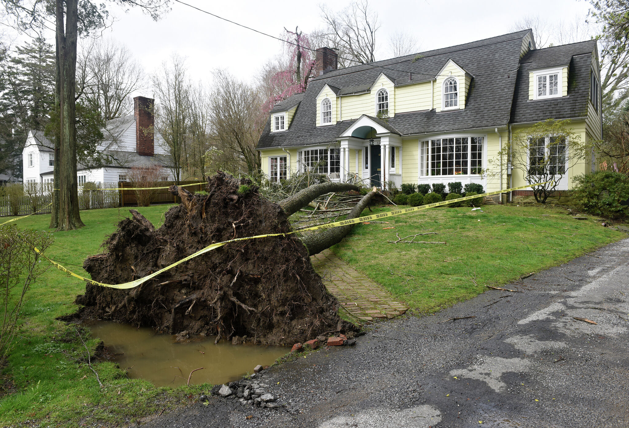 Greenwich house damaged by falling tree during nor'easter