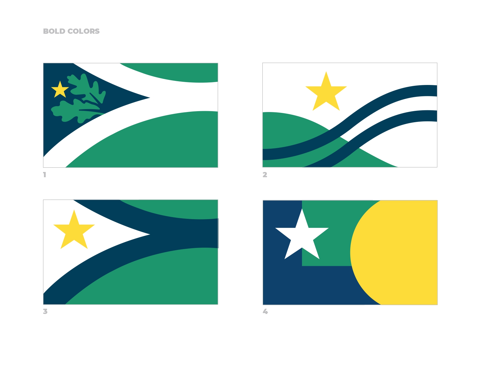 Texas city shows how hard it is to choose a flag design