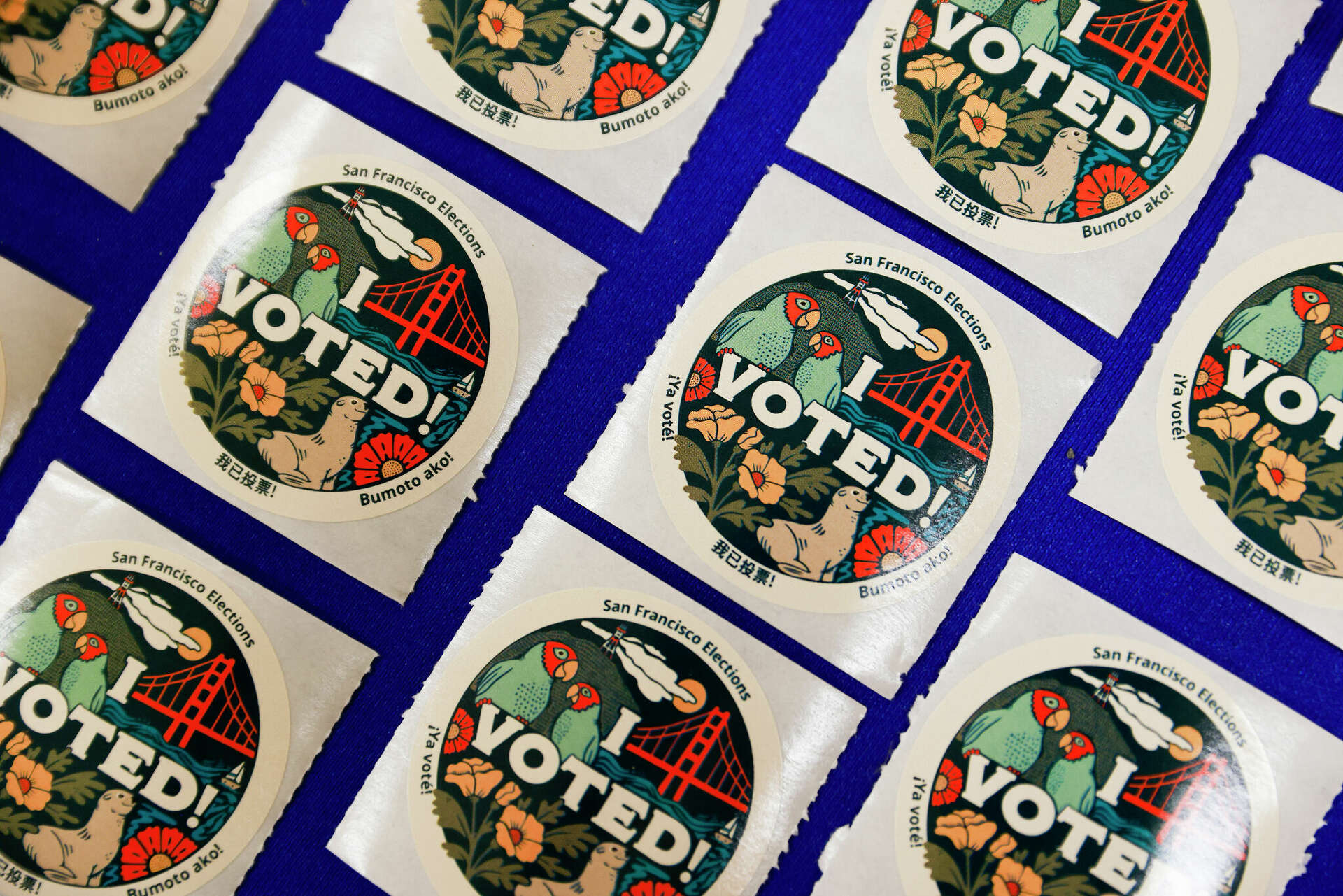 Think your vote doesn't matter? A new tool from Stanford might help