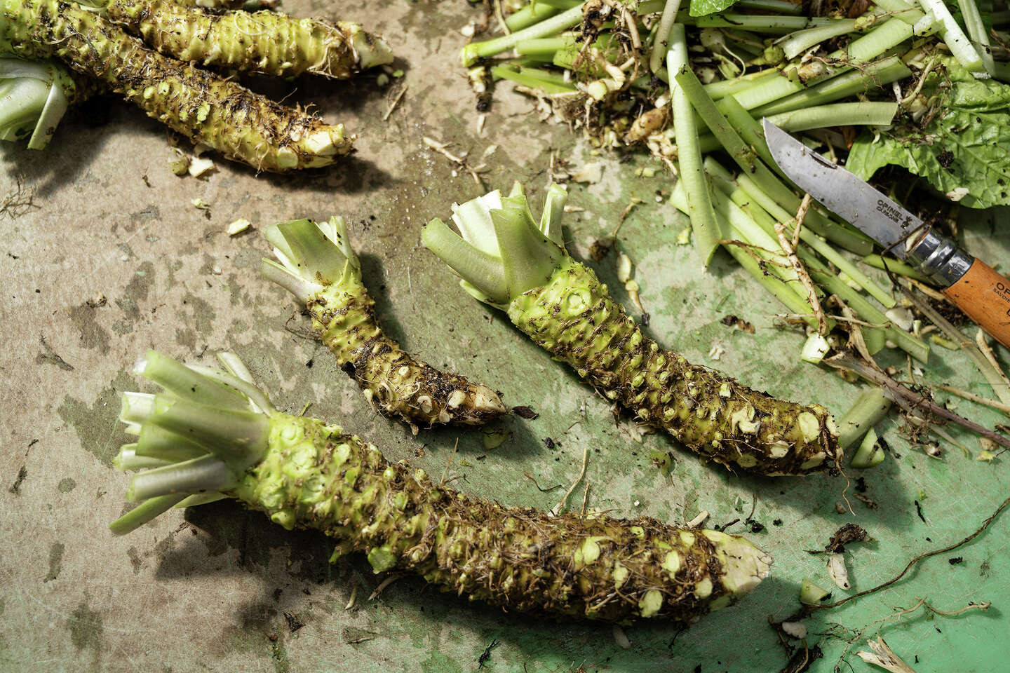 Bay Area farm grows only one eye-wateringly expensive ingredient