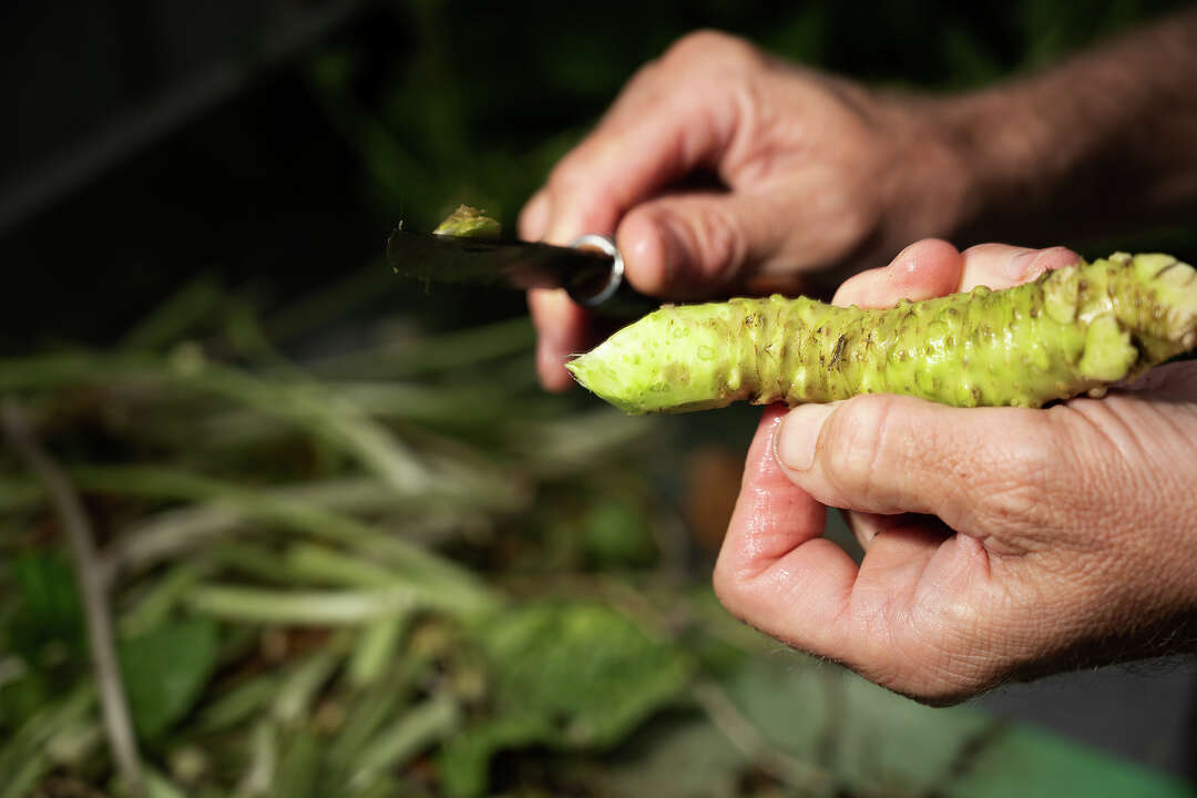 Bay Area farm grows only one eye-wateringly expensive ingredient