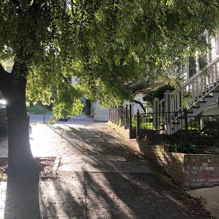 It’s spring in the Bay Area and even the wind seems green