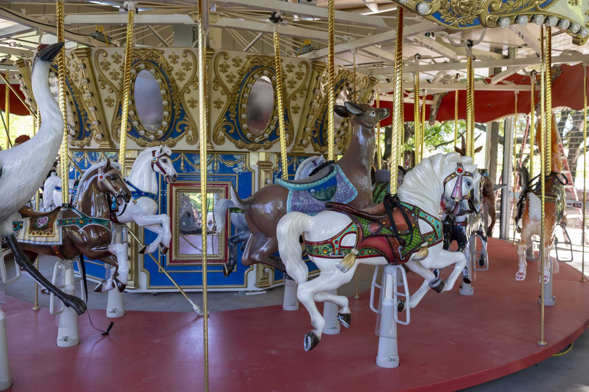 Hermann Park now has a carousel, splash cove, gorilla forest