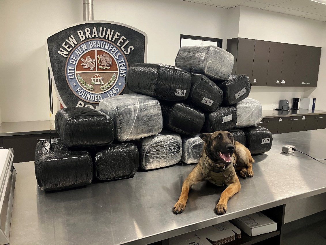 K-9 unit finds 360 pounds of marijuana in Texas traffic stop